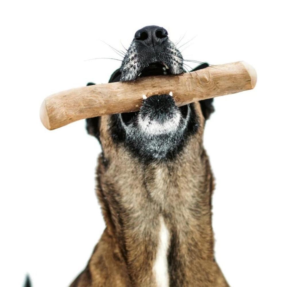 Patyk z drzewa kawowego SM - Sklep Zoologiczny KarmaCiro.pl